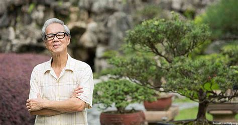 What Is Bonsai Cut Paste Bonsai Tree Help