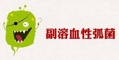 细菌性食源性疾病常见致病菌副溶血性弧菌 污染 海产品 食物