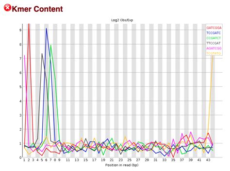 FastQC For Quality Assessment Introduction To ChIP Seq Using High Performance Computing