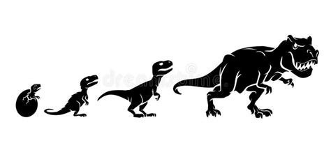 Dinosaur T Rex Growth Stages Silhouette Stock Vector Illustration Of