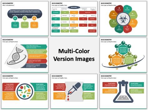 Biochemistry PowerPoint And Google Slides Template PPT Slides