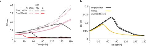The Bacterial Cbass Functions Through Abortive Infection A Growth