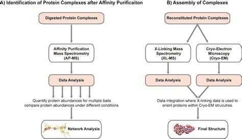 Analytical Workflows Download Scientific Diagram