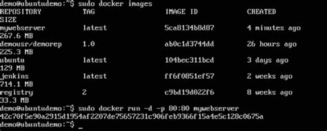 Docker Instruction Commands