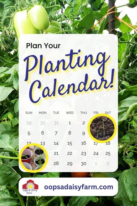 Don T Know When To Start Seeds Use A Planting Calendar