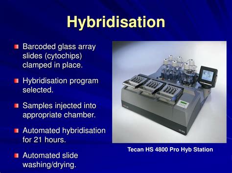 Ppt Microarrays At Wmrgl Powerpoint Presentation Free Download Id
