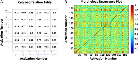 Electrogram Morphology Recurrence Patterns During Atrial Fibrillation Heart Rhythm