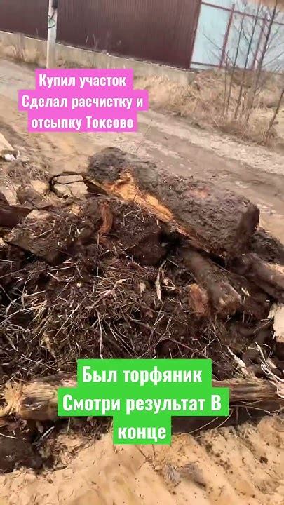 ПРОСТАЯ ПЛАНИРОВКА ДАЧНОГО УЧАСТКА Shorts участок стройка благоустройство дренаж дом