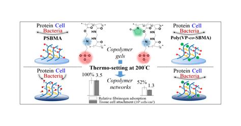 Applying Thermosettable Zwitterionic Copolymers As General Fouling