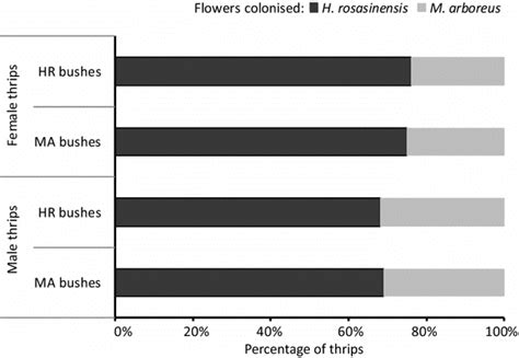Proportions Of Thrips By Sex In Hibiscus Rosasinensis And Malvaviscus Download Scientific