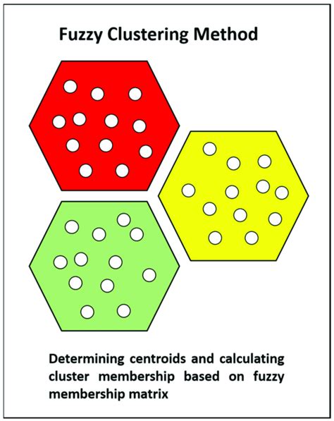 Fuzzy Cluster Membership Adopted By 17 Download Scientific Diagram