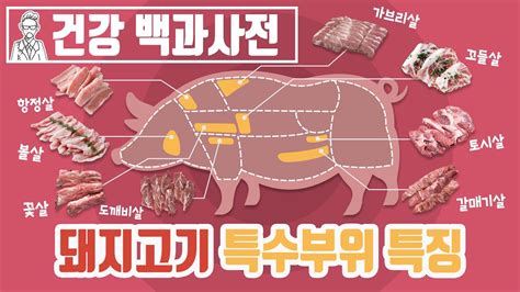 돼지고기 어디까지 먹어봤니 가브리살 도깨비살 갈매기살 등 돼지고기 특수부위 종류와 특징 세모지 Youtube
