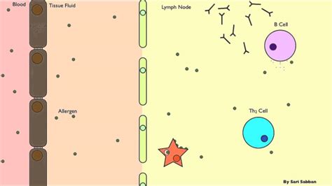 The Allergy Pathway Youtube