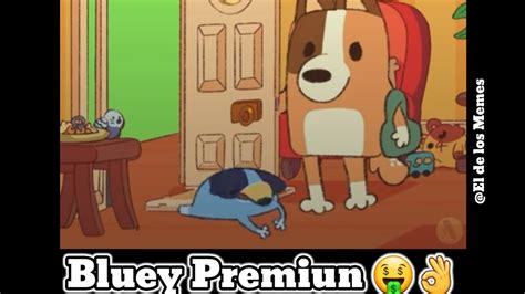 Bluey Momentos Xd Bluey Xd Youtube