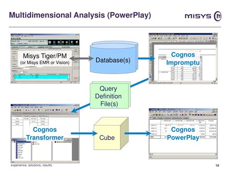 Ppt Fundamentals Of Misys Query Tiger And Pm Powerpoint