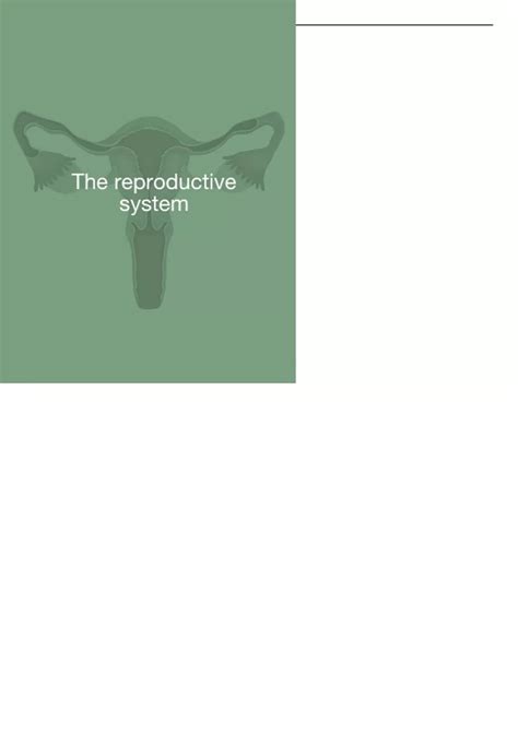 Summary Ati 2023 The Reproductive System Anatomical Physiological And Clinical Explanation