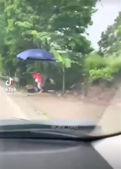 Kamaljit Singh On Linkedin 🙏🏻how Truly Lucky We Are Respective In This