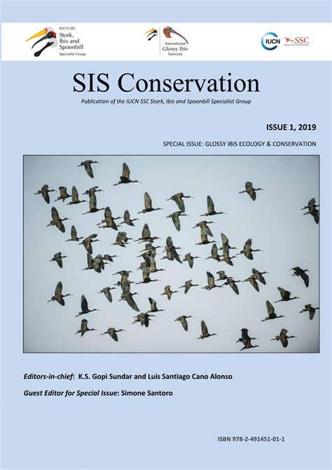 Pdf The Past Present And Future Of Glossy Ibis In Australia