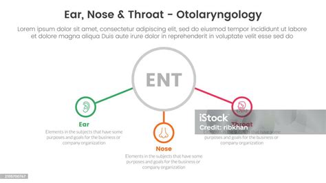 이비인후과 건강 치료 질병 인포그래픽 슬라이드 프레젠테이션을 위한 큰 윤곽선 원과 연결된 선 콘텐츠가 있는 3점 단계 템플릿