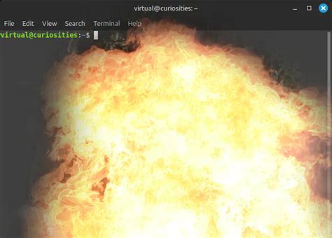 how to paste code in the terminal on linux mint virtual curiosities