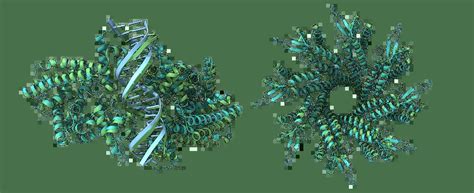 Open Source Boltz 2 Can Speed Binding Affinity Predictions 1 000 Fold