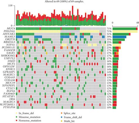 landscape of mutation for dcm a mutation classification type snv
