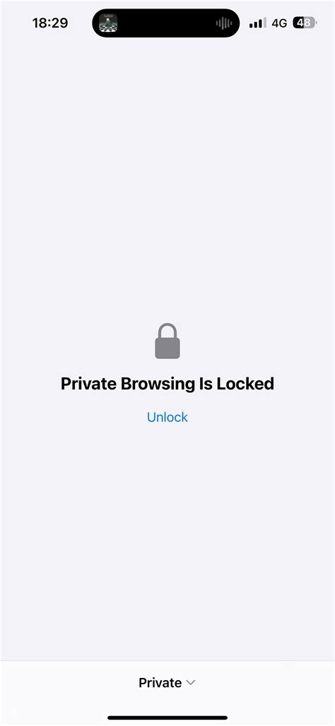 Safari Private Browsing Locked W Face Idtouch Id Rios17beta2023