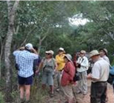 451 Tree Society Of Zimbabwe 451 Tree Society Of Zimbabwe