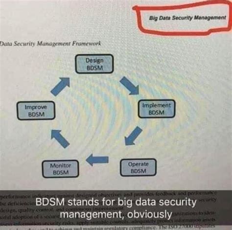 Big Data Security Management Data Security Management Framework Design