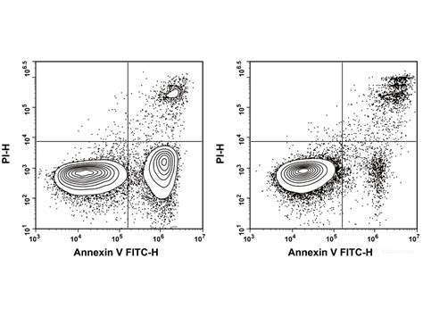 Annexin V Fitcpi Apoptosis Kit Mse Supplies Llc