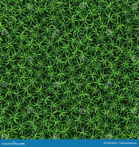Shrub Texture Seamless