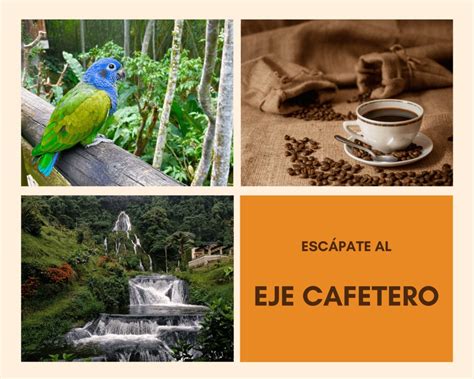 Los Mejores Lugares Para Visitar En El Eje Cafetero En 2023 Camello