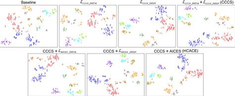 figure 1 from hierarchical camera aware contrast extension for