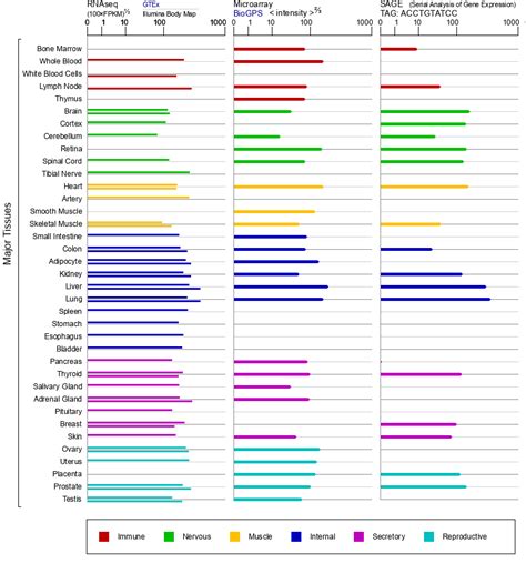 Ifitm3 Gene Genecards Ifm3 Protein Ifm3 Antibody