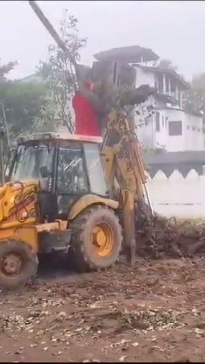 බෝධින් වහන්සේ සිටවපු ගමන් උන දේ ️🙏 කවුරු මොනවා කීවත් එහෙම දේවල් තියෙනවා 😍 Youtube