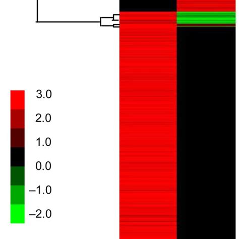 standard average linkage euclidean distance hierarchical clustering