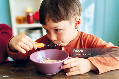 아침 식사를 위해 우유와 옥수수 조각을 먹는 귀여운 아이들 4 5세에 대한 스톡 사진 및 기타 이미지 4 5세 6 7 살 가정 생활 Istock