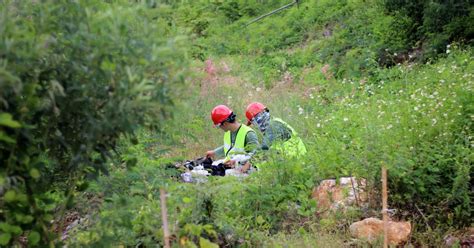 Forru Use Of Unmanned Aerial Vehicle Uav Imagery To Monitor Progress Of Early Forest