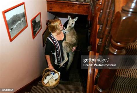Kathy Bronstein Photos And Premium High Res Pictures Getty Images