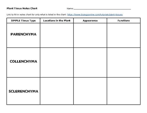 Plant Tissues Independent Notes Worksheet By The Little Barn Owl