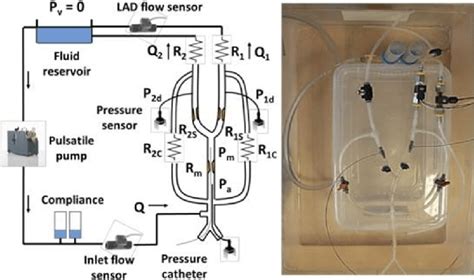 In Vitro Experiment Diagram Of The Experimental Bench And In Vitro