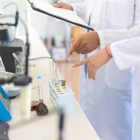 Sibelius Gummies And Functional Foods The Future Of Experiential