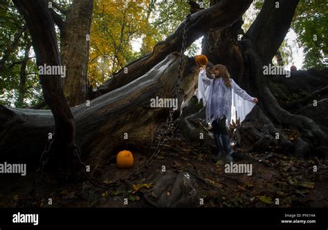 Woman Chained To A Tree Hi Res Stock Photography And Images Alamy