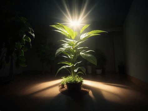 Premium Ai Image Pot Light From The Ceiling Illuminates The Plant