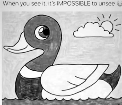 You Cant Unsee It Cant Unsee Help Me  Cant Unsee Help Me