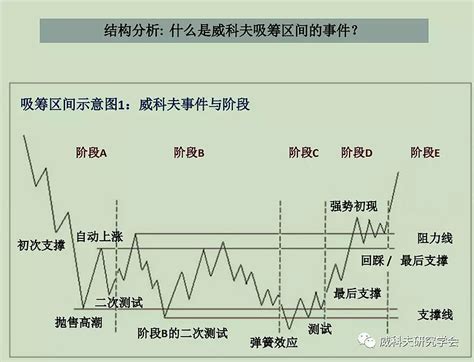 盲目抄底活该你成不了市场赢家 威科夫操盘法揭秘对冲基金不愿公开的交易策略享华尔街大师成功驾驭市场超过95年的秘技教你不再盲目抄底根据吸