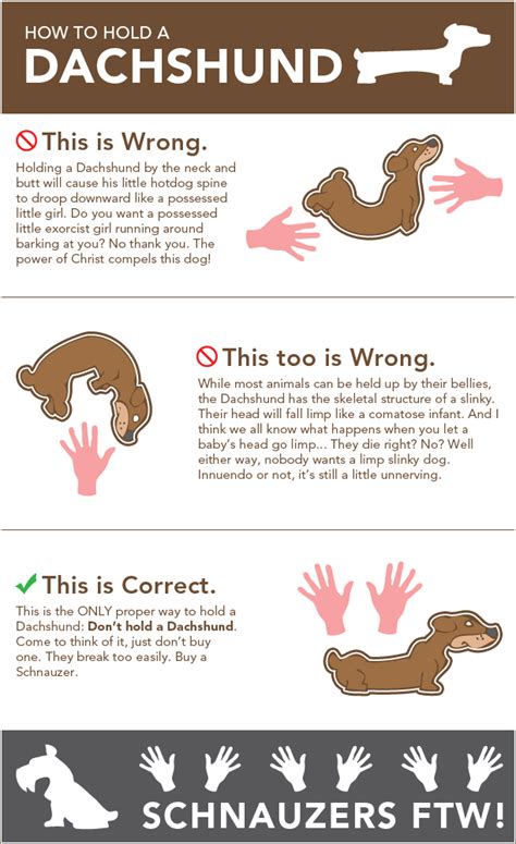 Mark Marianelli How To Hold A Dachshund