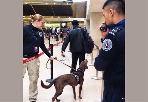 13 Things That Totally Annoy Tsa Agents—and What To Do Instead