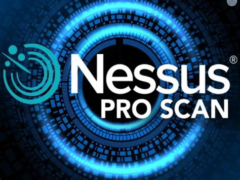 Vulnerability Assessment With A Professional Report Of Your Web Application Upwork