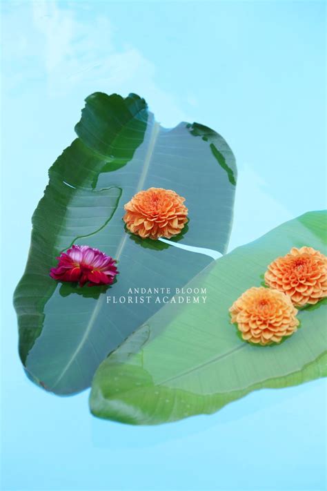 안단테블룸학생실습슈어 잡지 촬영임패리얼팰리스에서 진행한 트로피컬플라워 연예인 이은 트로피컬플라워강남플로리스트학원플로리스트자격증 네이버 블로그